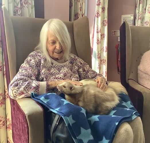 Unusual visitors hop into East Grinstead care home | Care UK