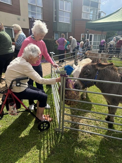 Fareham care home residents have a field day with farm animals | Care UK