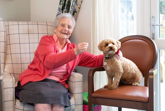 ‘Round of a-paws’ as Ware care home hires canine relations manager ...