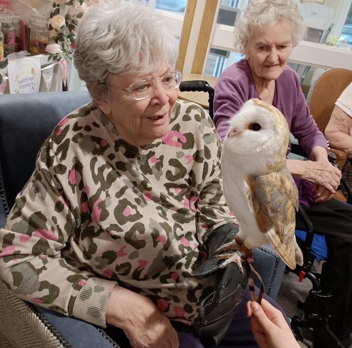 Not easily rattled – Creatures great and small visit Southampton care ...