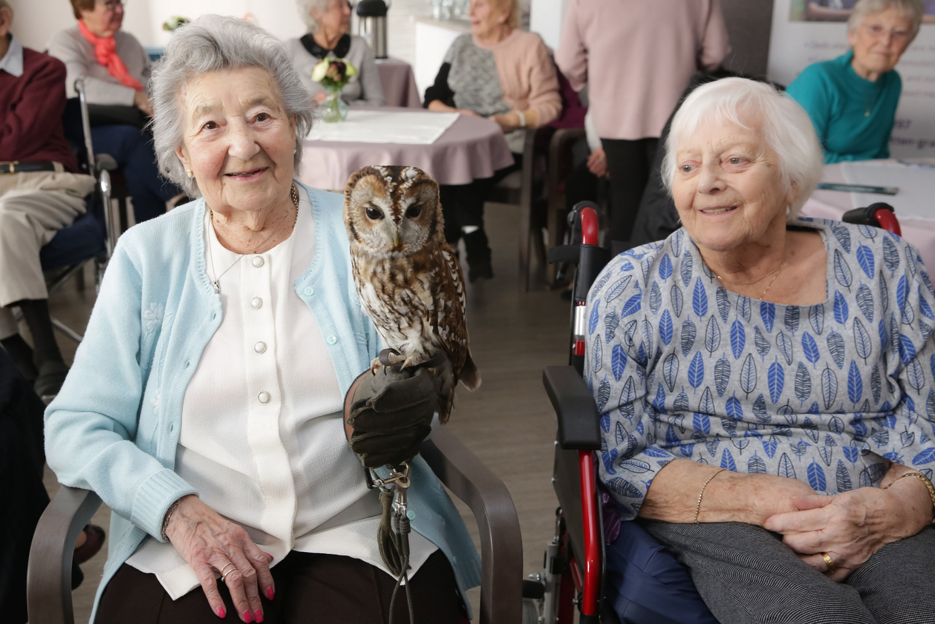 Bird is the word! Ascot care home residents spread their wings to ...