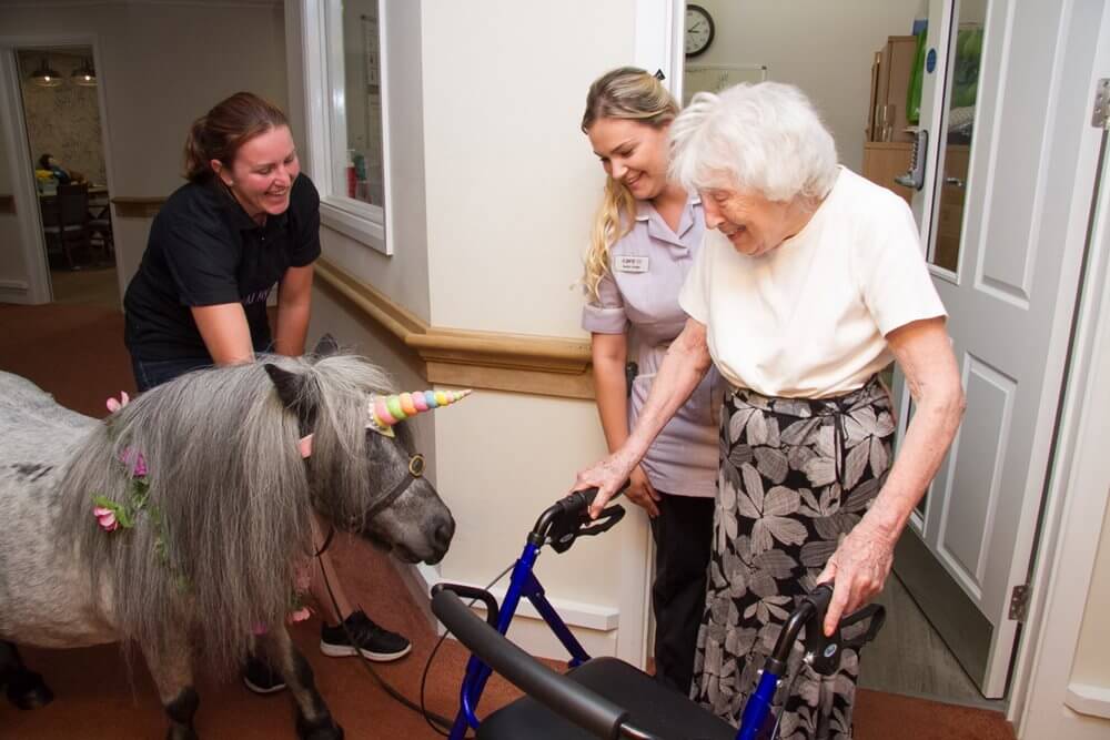 Snowdrop House Care Home | Ware, Hertfordshire | Care UK